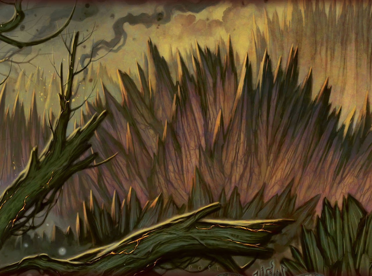 plane: shadowmoor « Basic Land Art